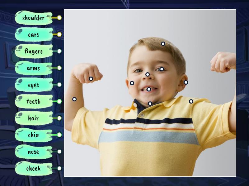 Body Parts 3 (Face) - Labelled diagram