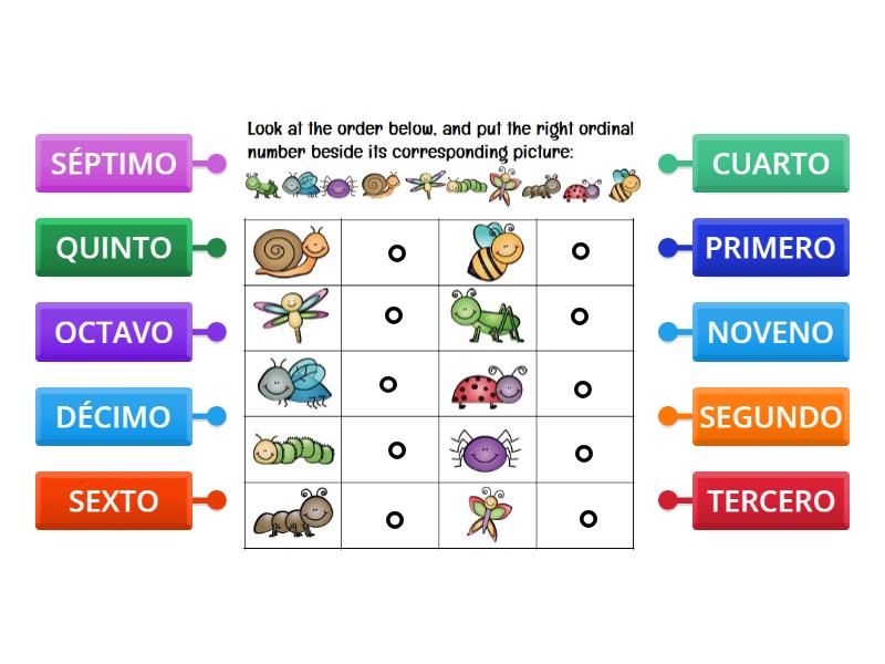 ORDINAL NUMBERS - Labelled diagram