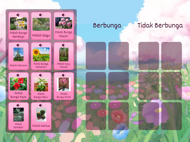 Permainan: Tumbuhan Berbunga dan Tidak Berbunga - Pengurutan grup