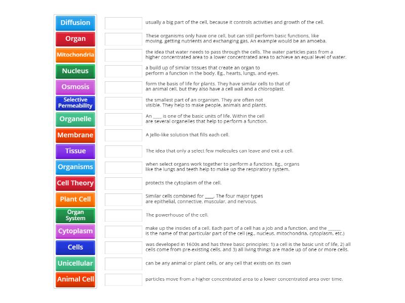 Cells Vocabulary - Match up