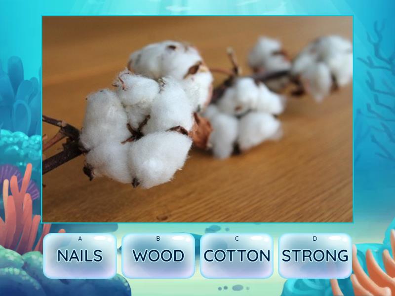 STEAM MATERIALS - Quiz