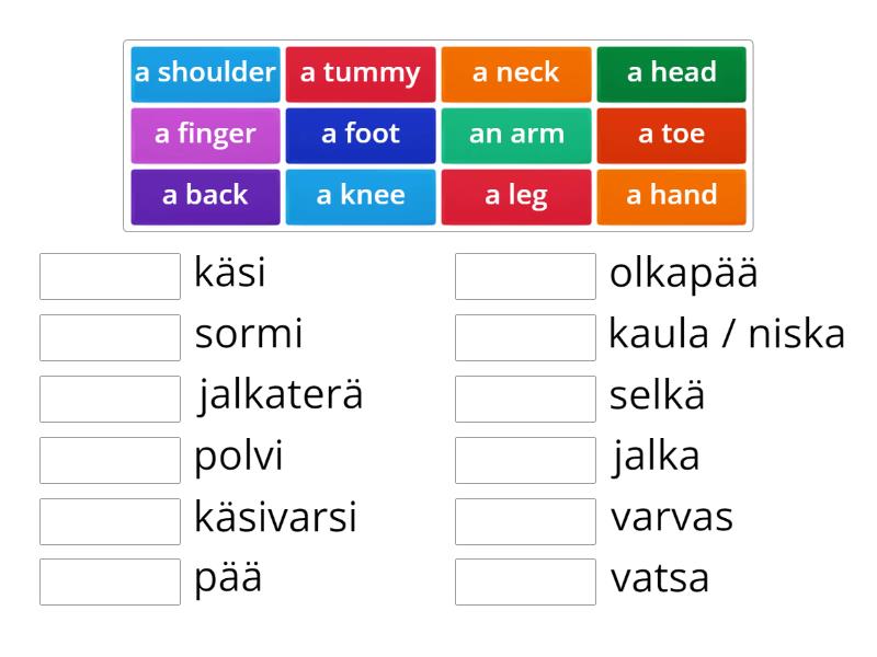 Kehon osat - Match up