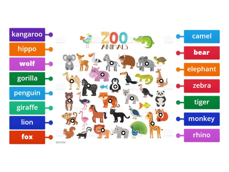 Zoo Animals - Labelled diagram