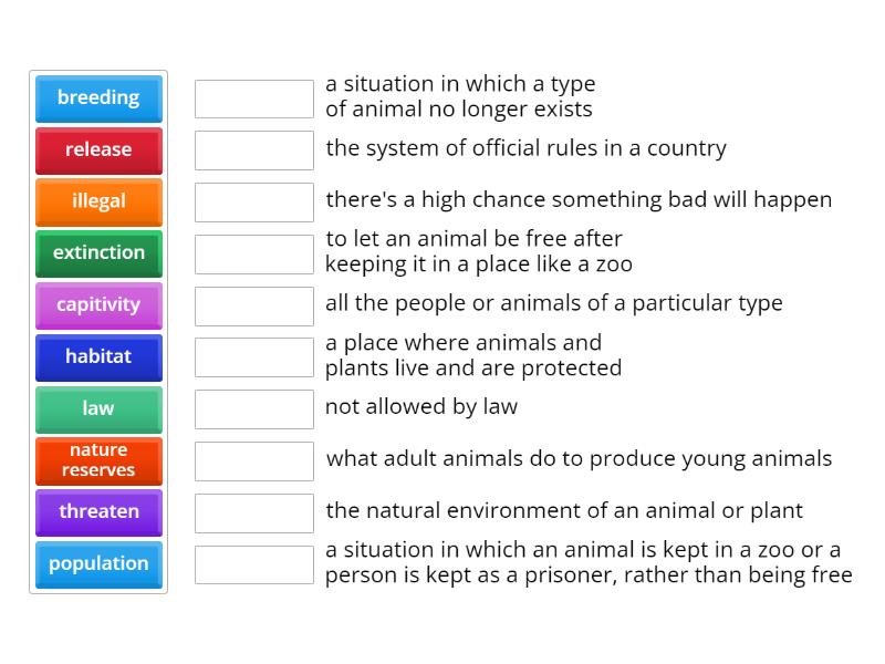 'What Animals are Endangered?' vocabulary - Match up
