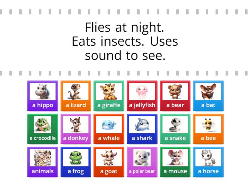 Cambridge Movers - Animals - Video 01 - Cada oveja con su pareja