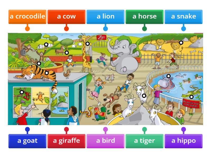 Zoo - Labelled diagram
