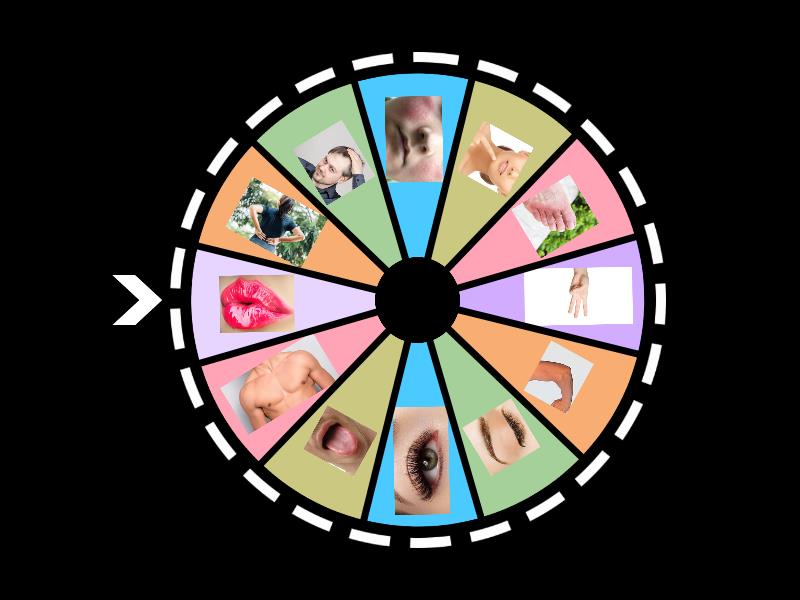 Wheel - Body Parts - MEIE - Spin the wheel