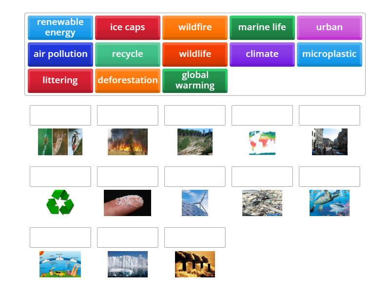 Environment - Match up