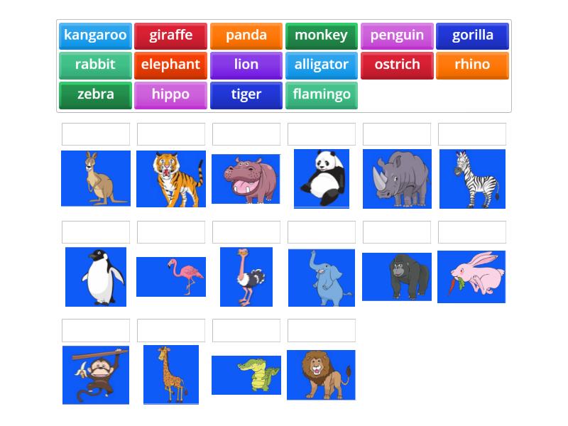 Zoo Animals - Match up