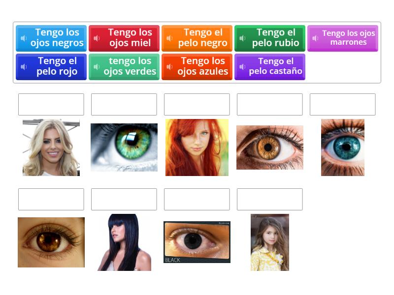 el pelo y los ojos - descripción física - Match up