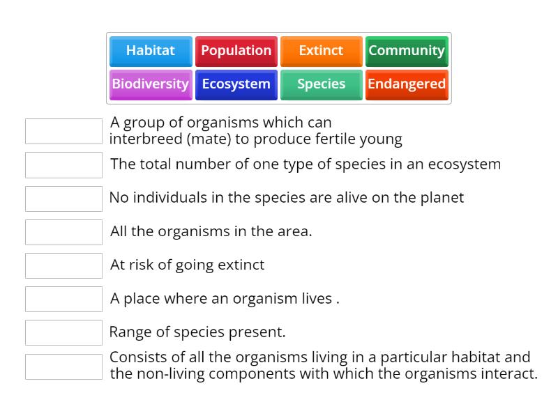 N4 Ecological terms - Match up