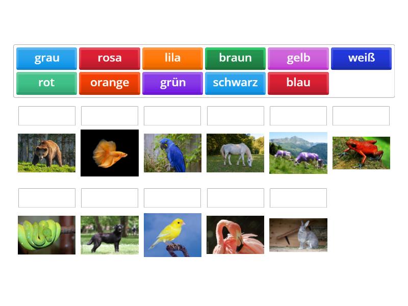 Tiere und Farben - Une las parejas