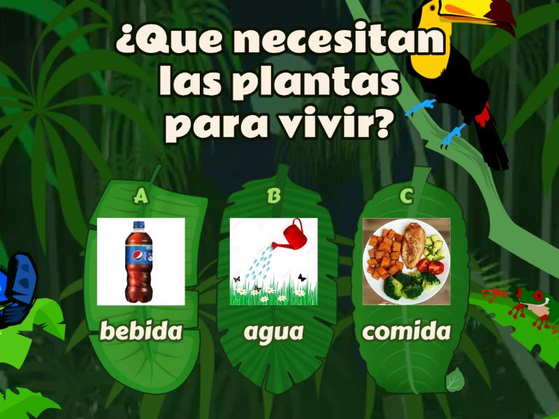 ¿Que necesitan las plantas para vivir? - Quiz
