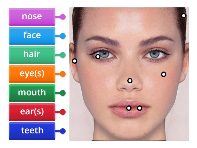 Face - Labelled diagram
