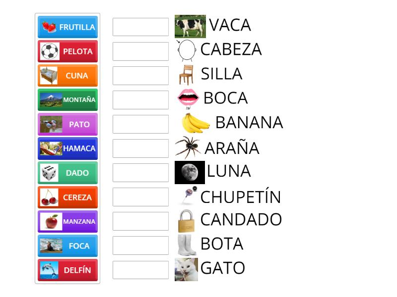 PAREO DE PALABRAS - Match up