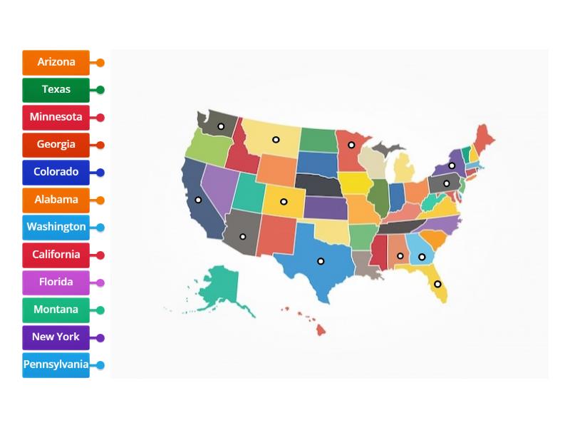 STATES OF THE USA - Diagrama con etiquetas