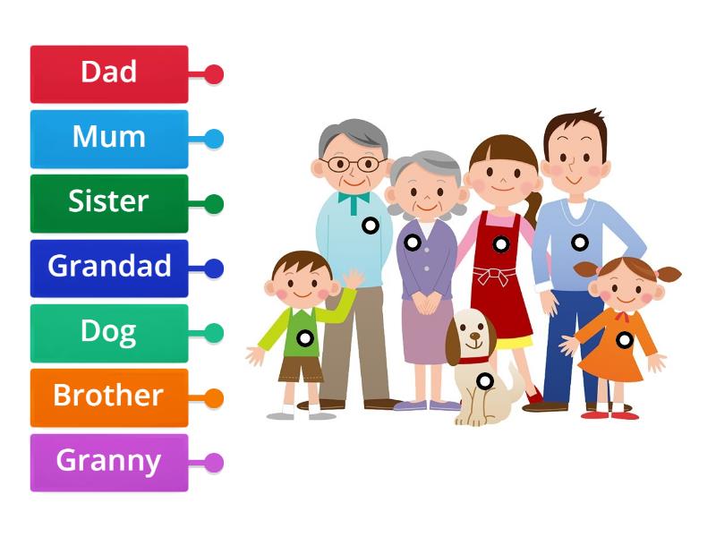 Family members - unit 4 - Labelled diagram