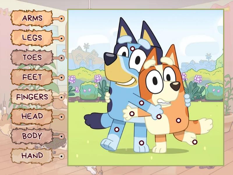 BLUEY (body) - Labelled diagram