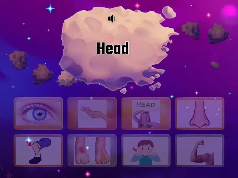 BODY PARTS - Find the match