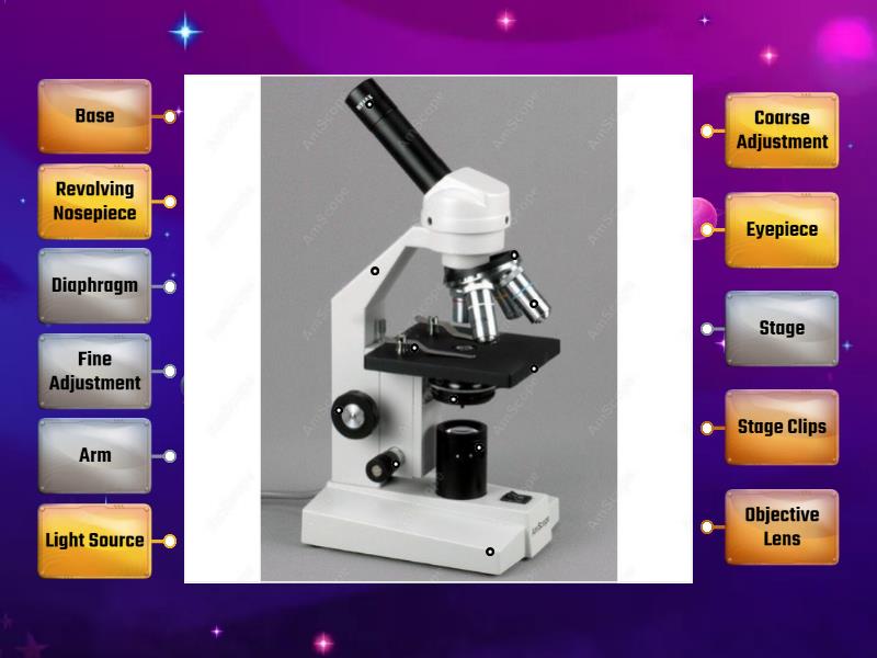 2024 Label Diagram Parts of a Microscope - Imagem com legenda