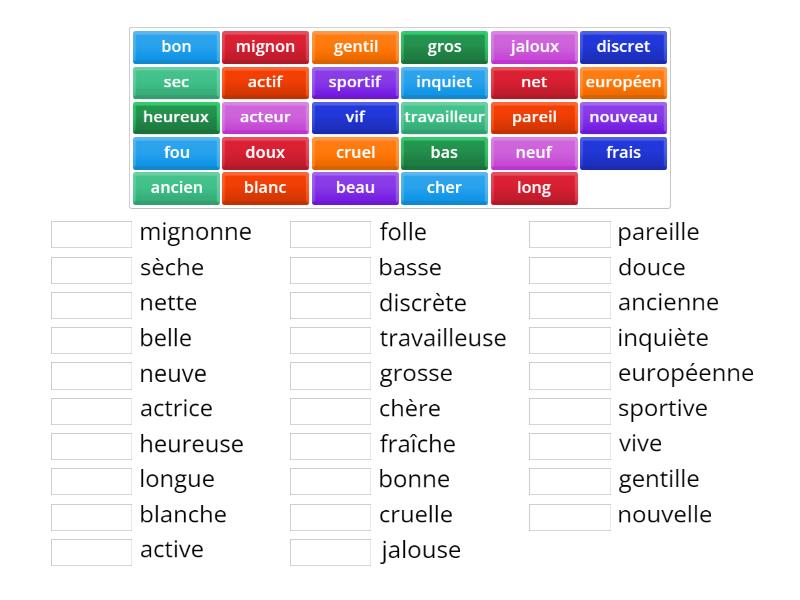 Adjectifs féminin / masculin - exercice - Apparier