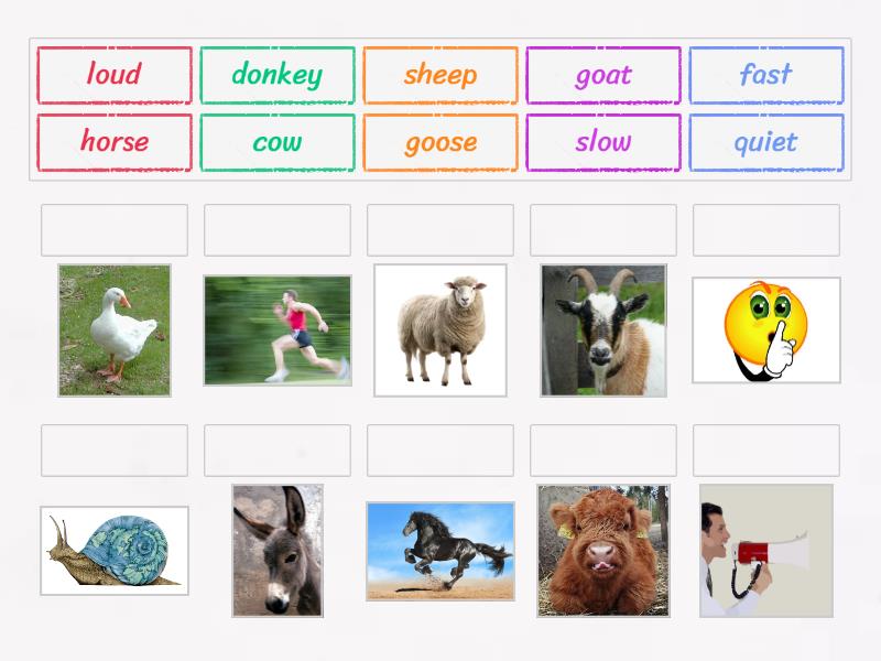 Family and friends 2 unit 13 - Match up