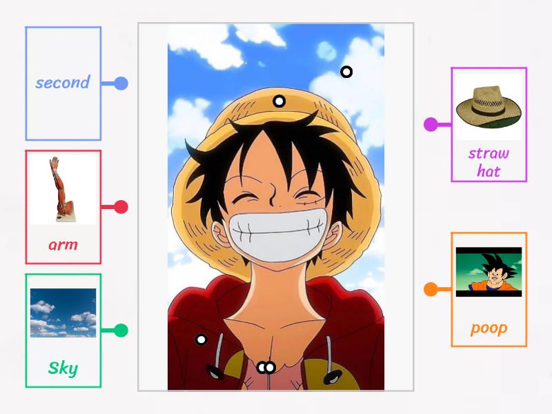 luffy - Labelled diagram
