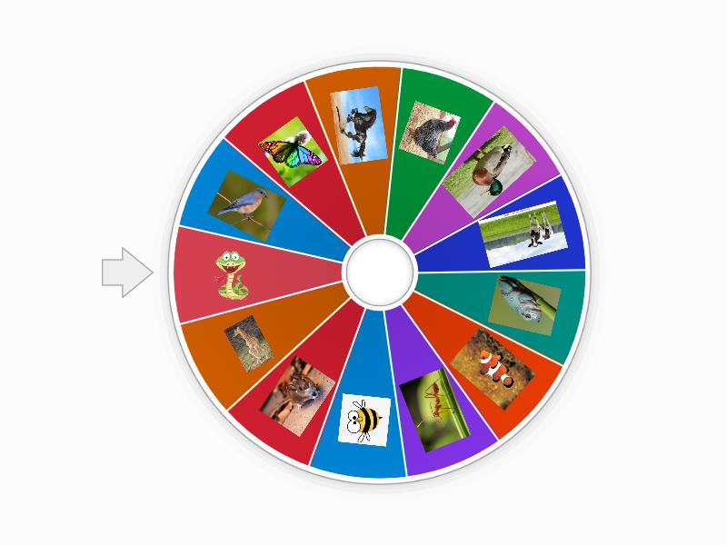 Animals wheel 2 - Spin the wheel