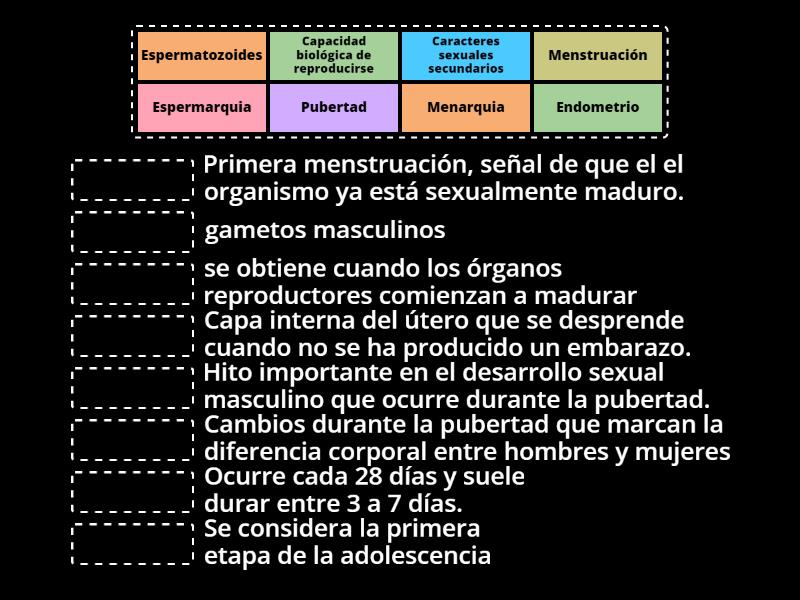 Pubertad - Une las parejas