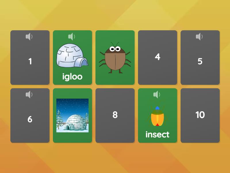 9.3.OP1 - Ii (igloo, insect,igquana, ink). Find the pairs. - Matching pairs