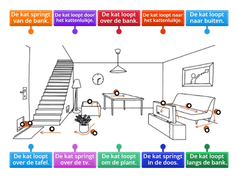 5.1 - Waar loopt de kat? - Labelled diagram