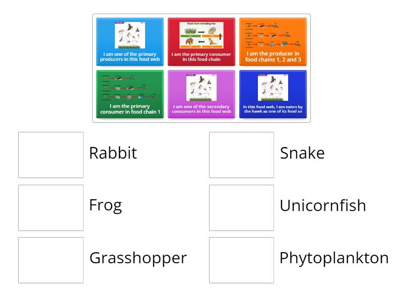 Food chains and Food webs - Match up