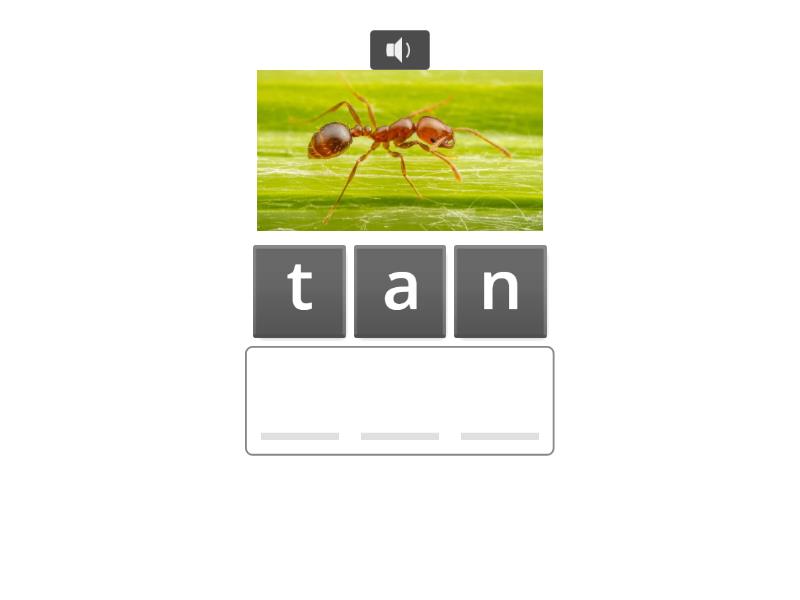 ABC Phonics - Anagram