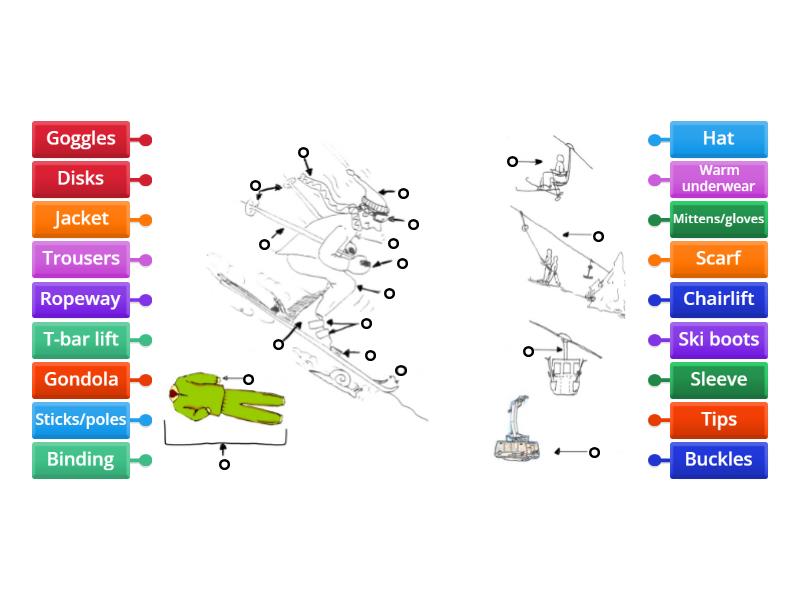 Skiing equipment - Labelled diagram