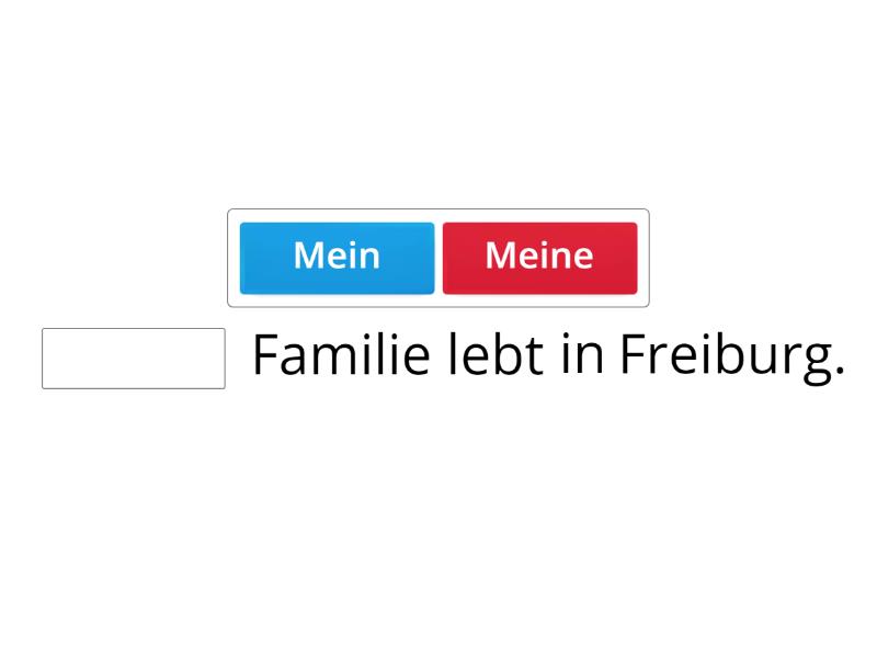 Mein oder meine? - Complete the sentence