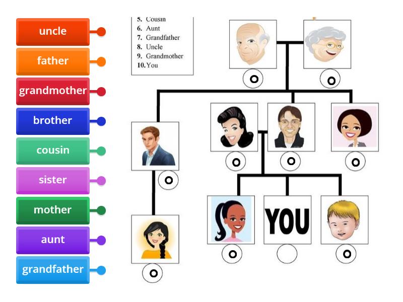 FAMILY MEMBERS 1ST YEAR - Labelled diagram