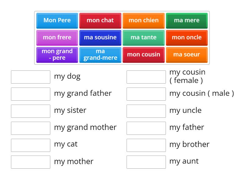 family members in french - Match up