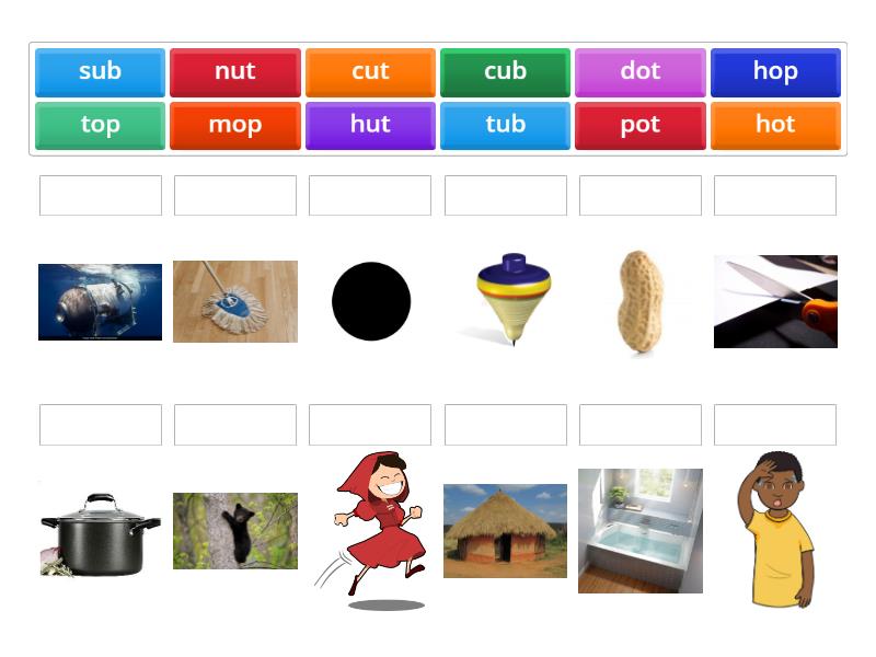 Phonics with the dolphin - Match up