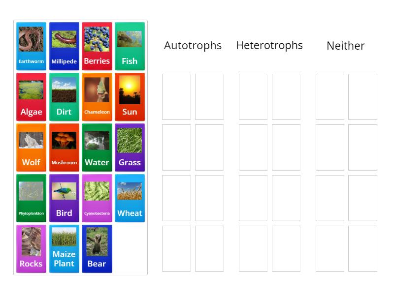 Producer Consumer Sort Group Sort