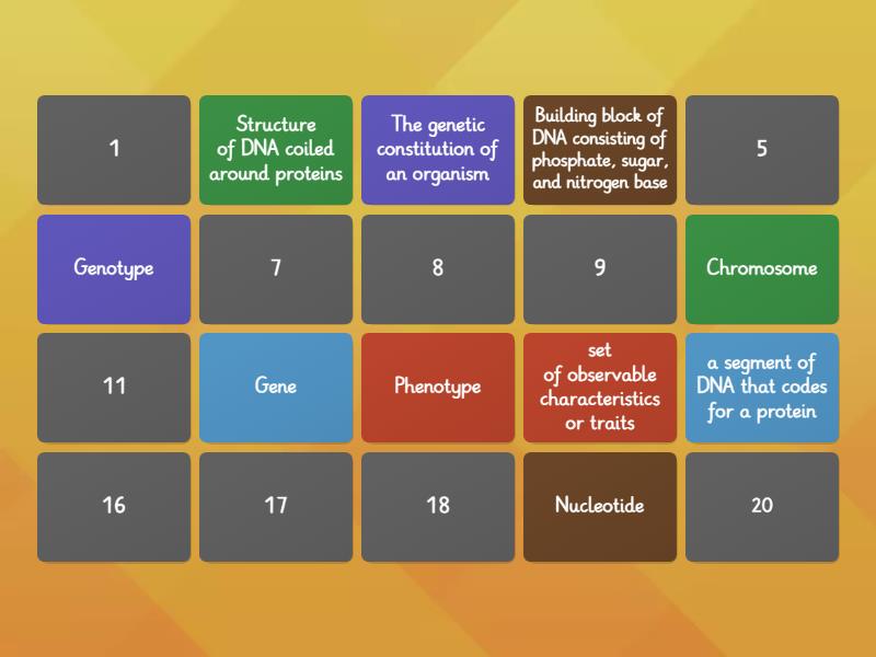 DNA - Matching pairs