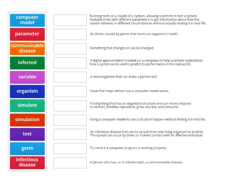 Infection Simulation and Modeling Vocabulary - Match up