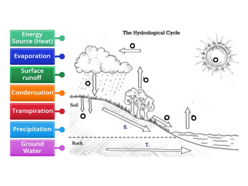 Water Cycle - Labelled diagram