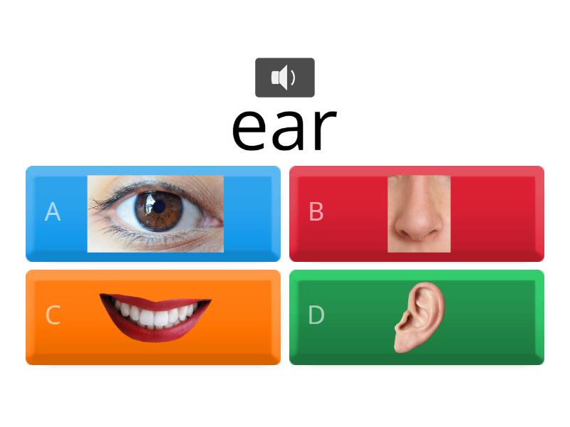 Body Parts test - Quiz