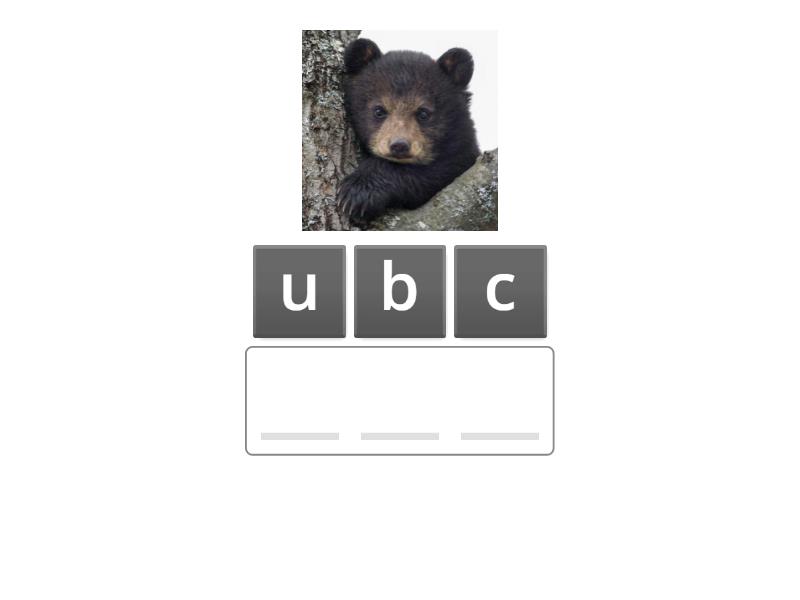 Project 4 Unit 5B - Anagram