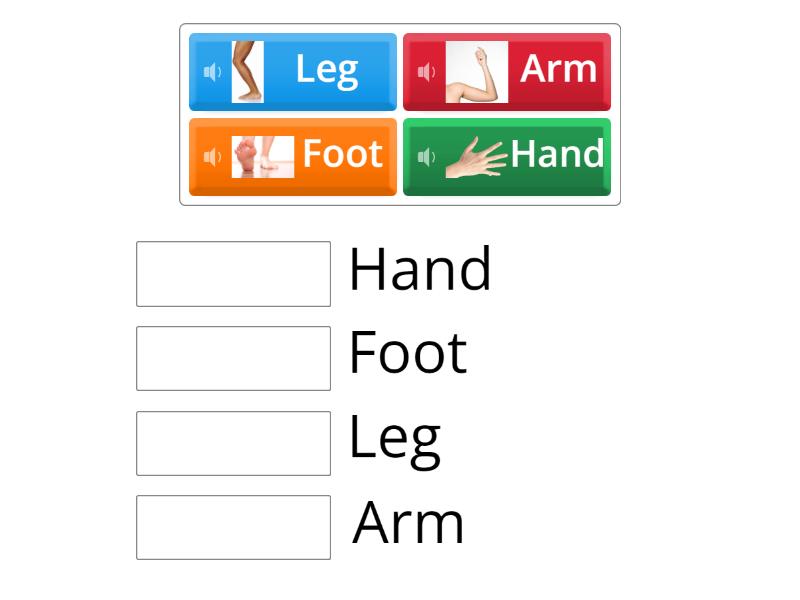 Body parts leg arm hand foot - Match up