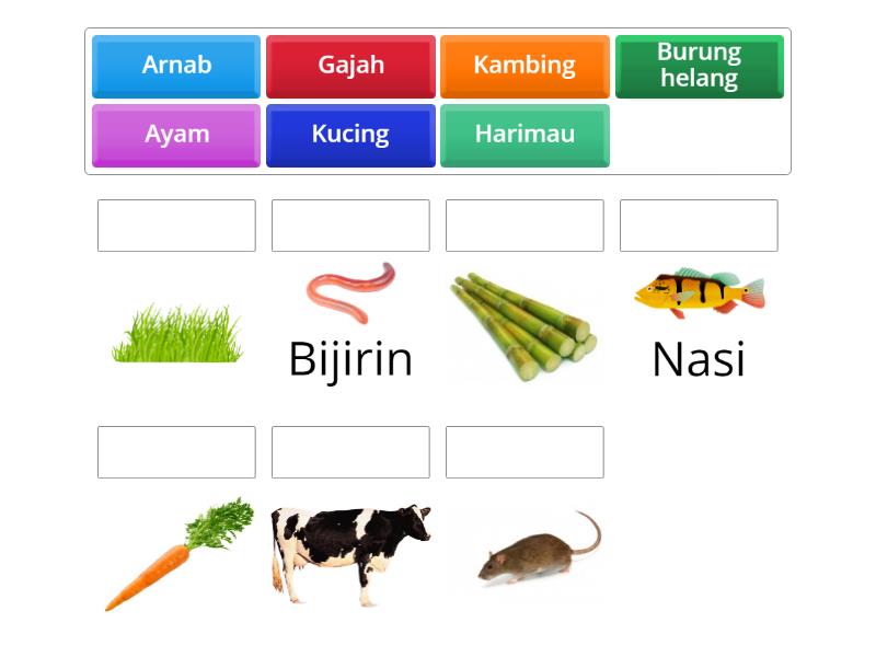 CONTOH TABIAT PEMAKANAN HAIWAN - Match up