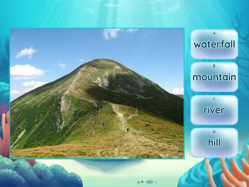 Team together 3 unit 3 - Quiz