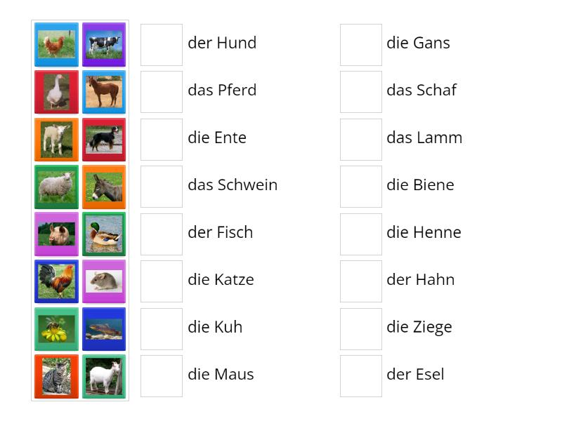 die Tiere AUF DEM BAUERNHOF - Match up