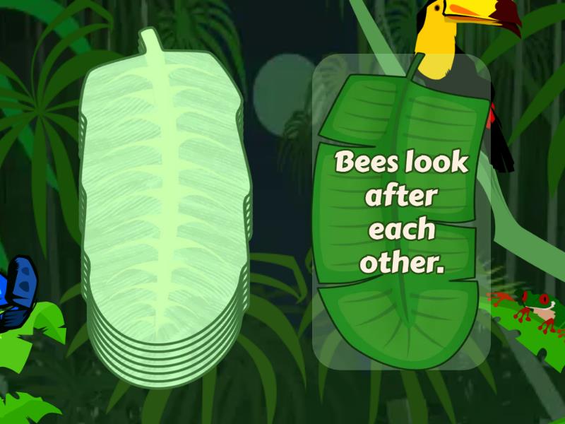 Teamwork Sentences - Speaking cards