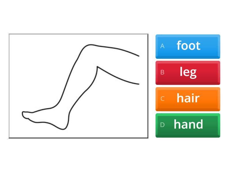 ESOL - Pre Entry - Parts of the body - Quiz